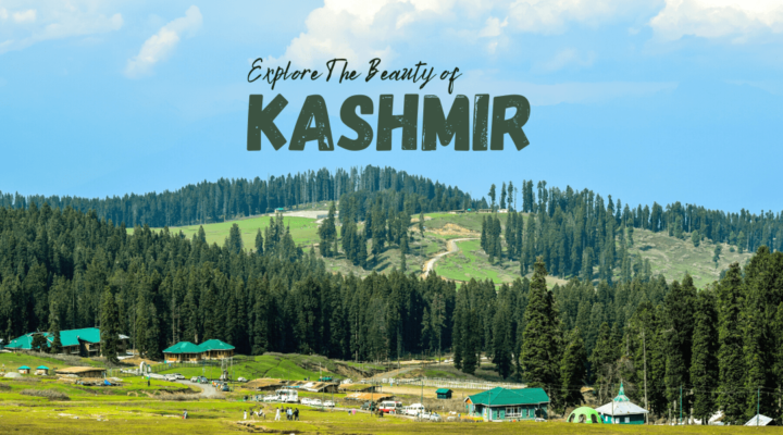 Tourist Influx Continues: 11.16 Lakh Visitors Travelled to Kashmir in ...